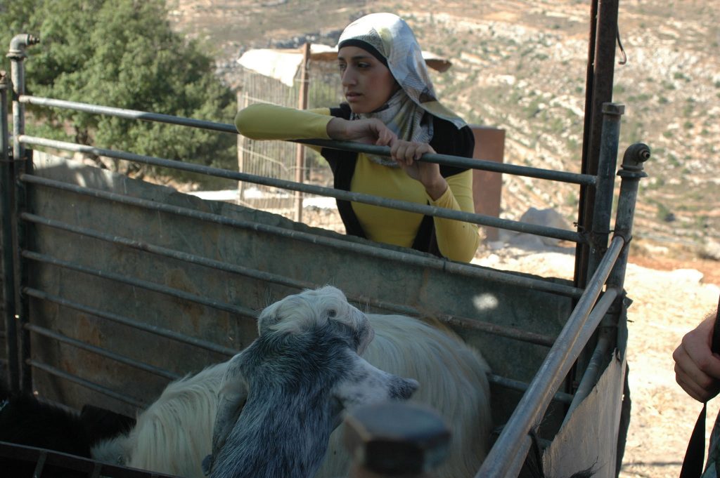 The Concept of Veganism in Islam