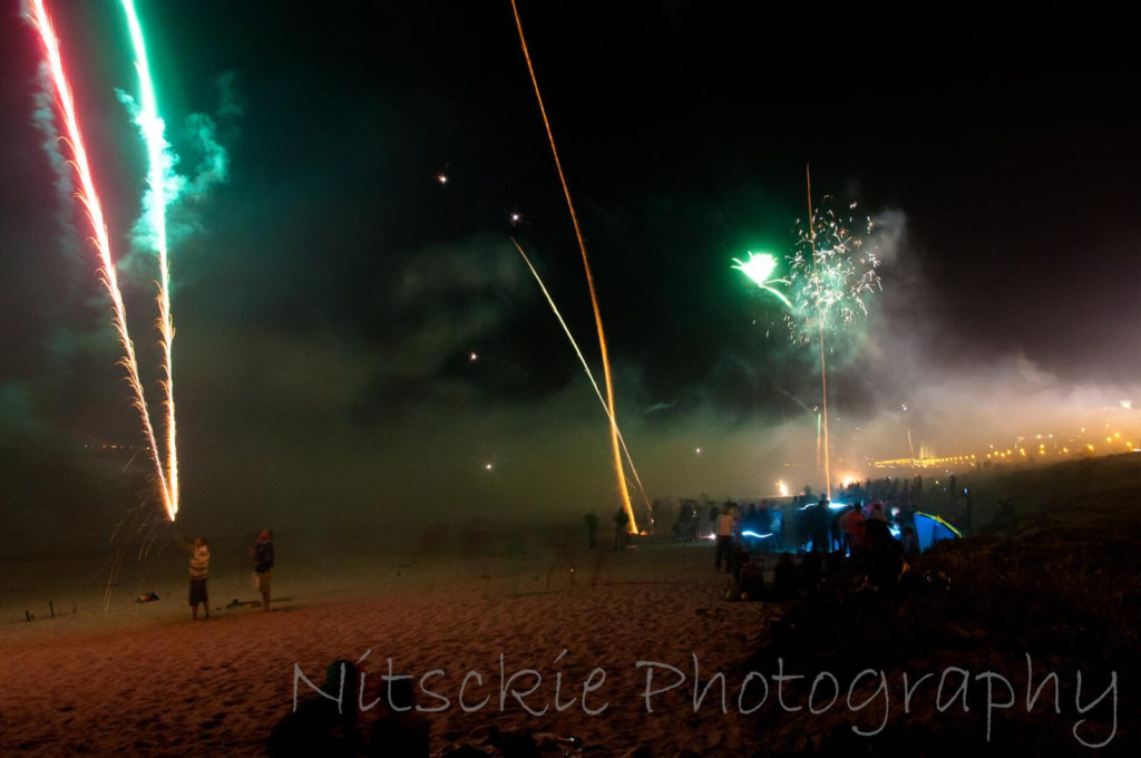 Destructive Celebrations: The Animal and Environmental Toll of Fireworks