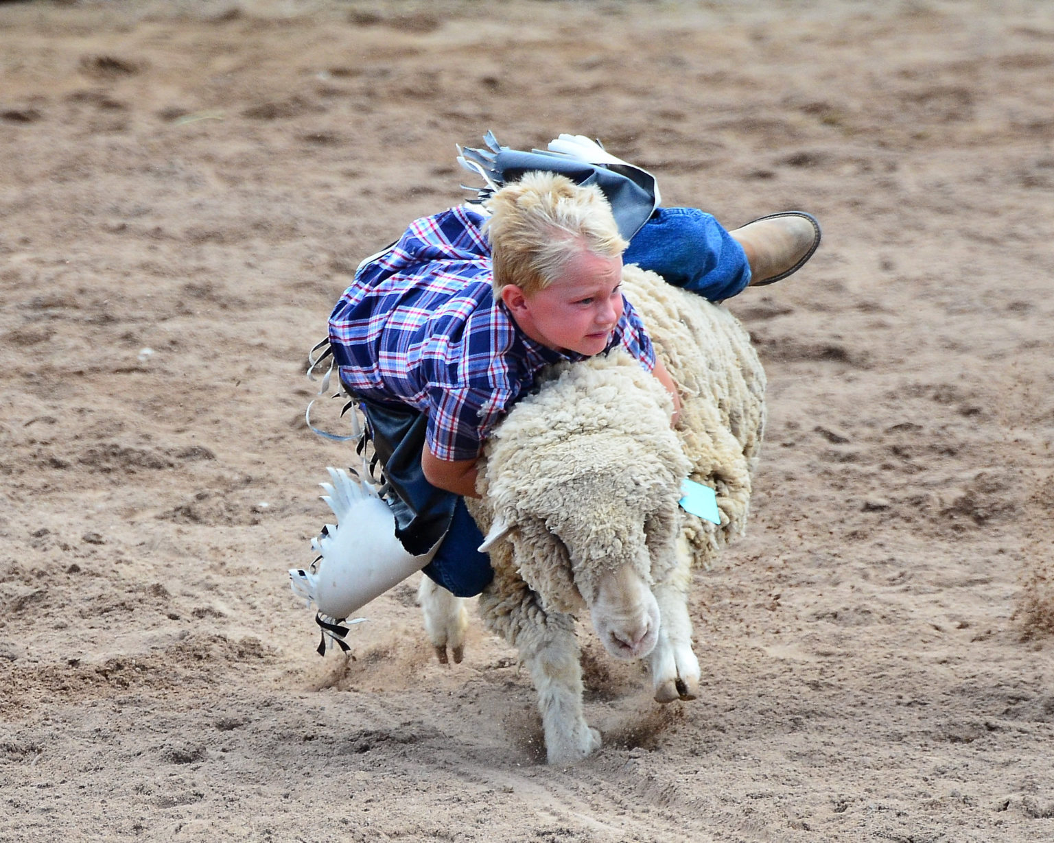 A Veterinarian’s Perspective on Rodeos
