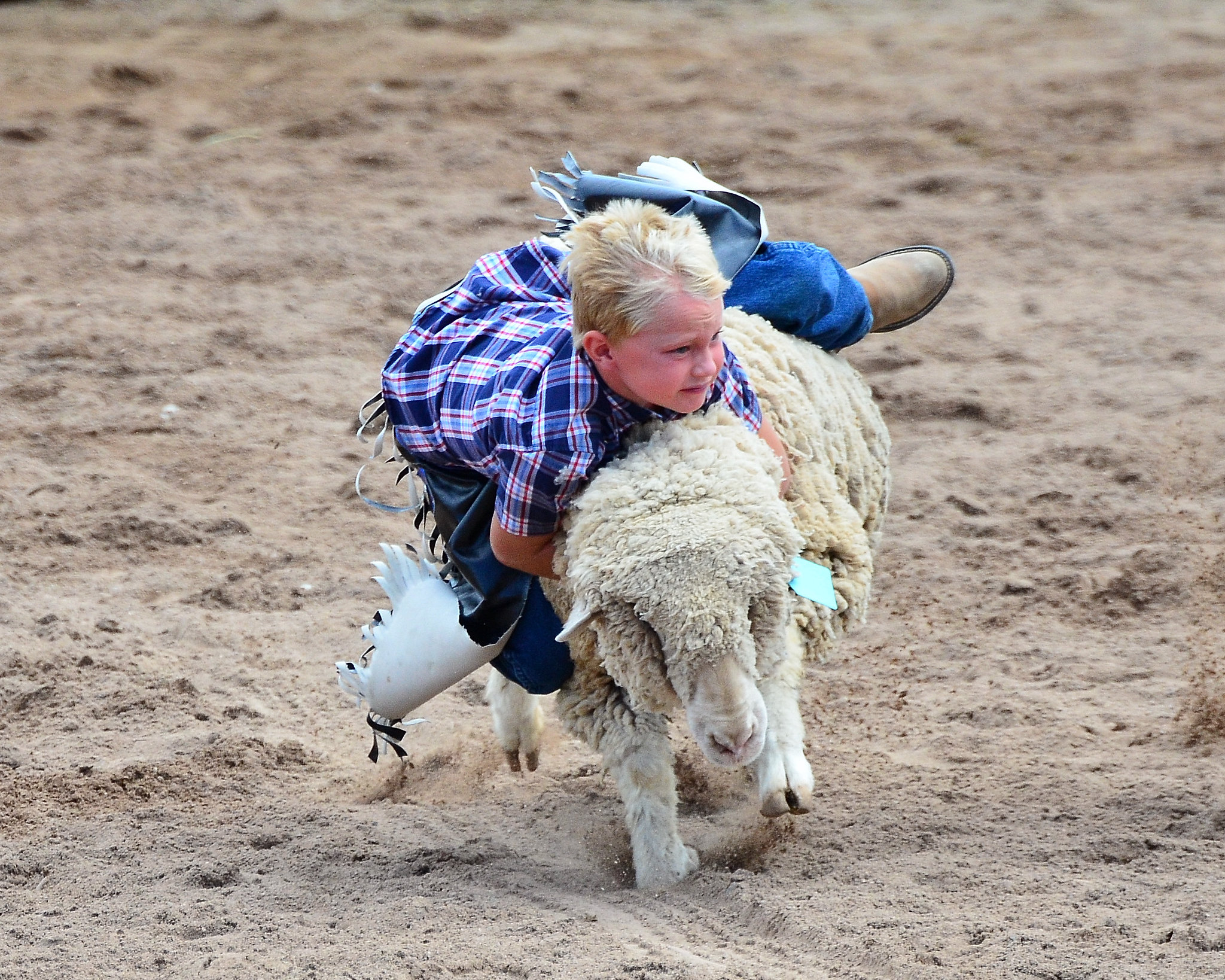A Veterinarian’s Perspective on Rodeos