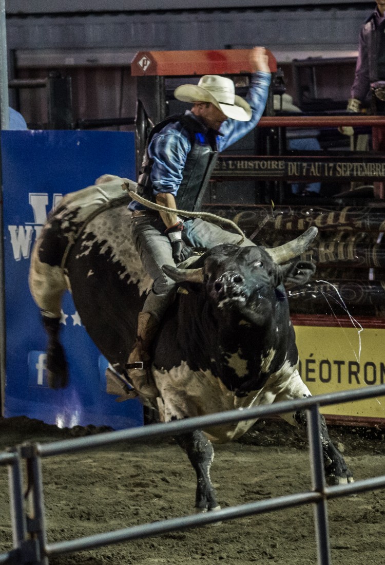 A Veterinarian’s Perspective on Rodeos