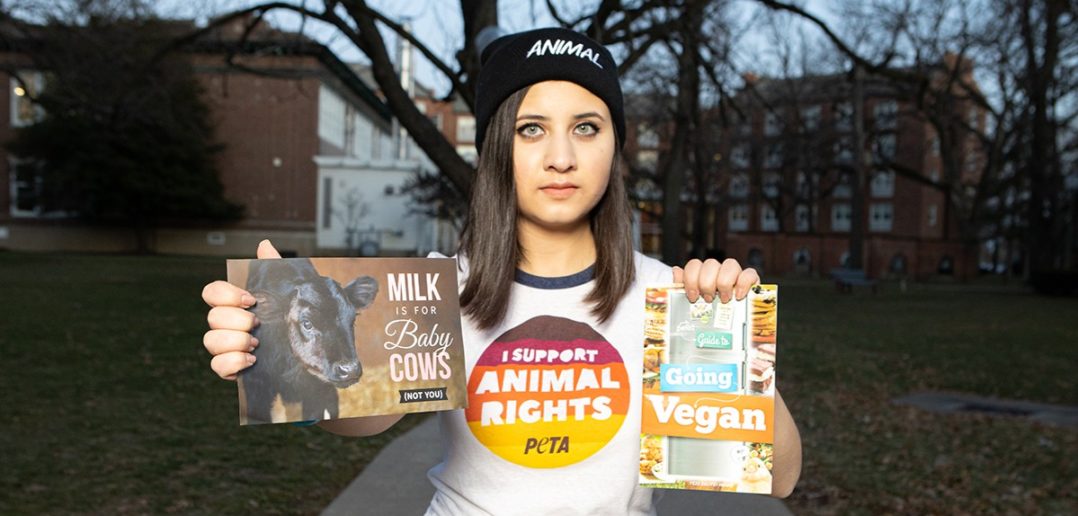 Public University Rejects Animal Rights Club, Citing ‘Emotional Risk ...