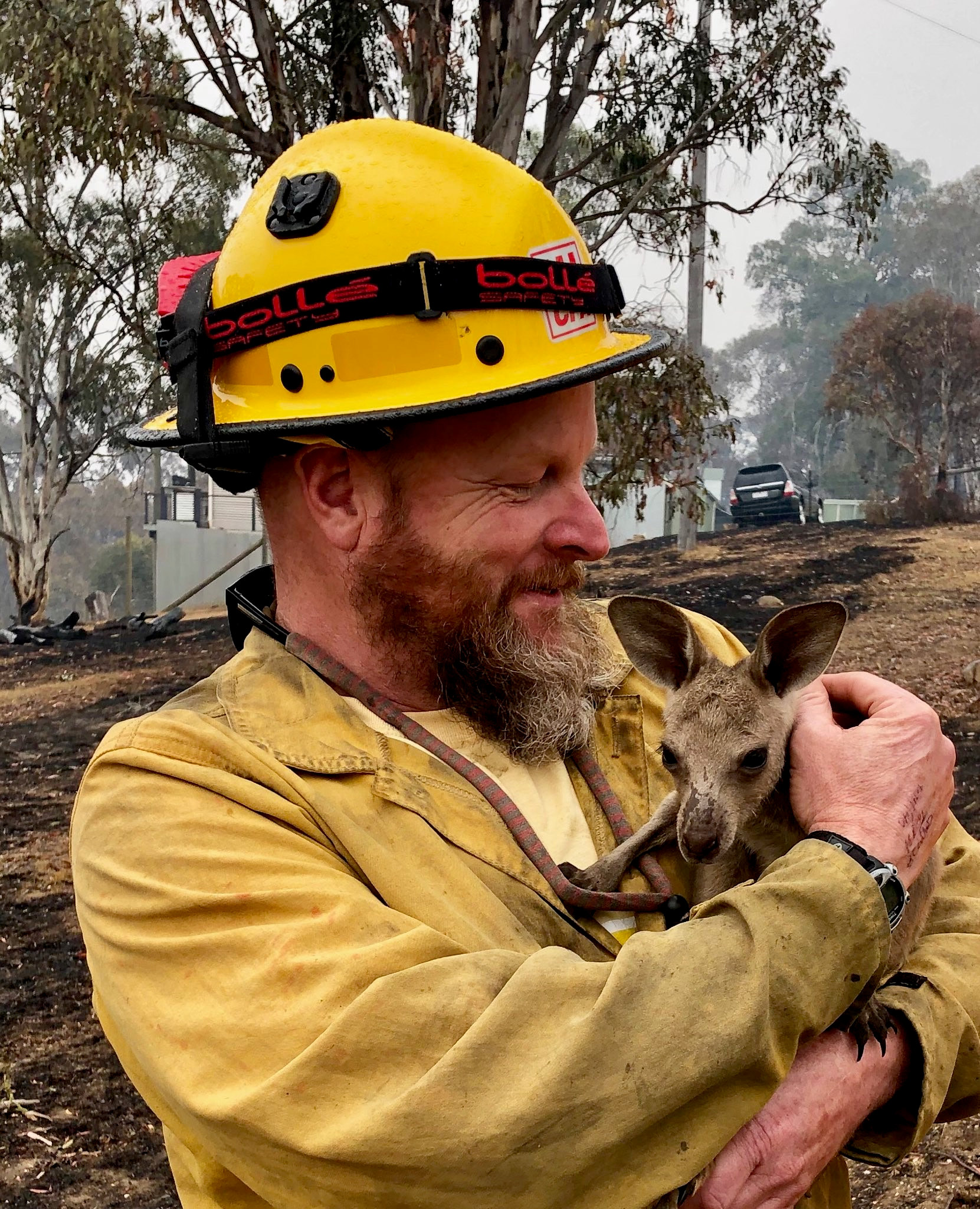 Over Half a Billion Animals Killed in Australia’s Bushfires