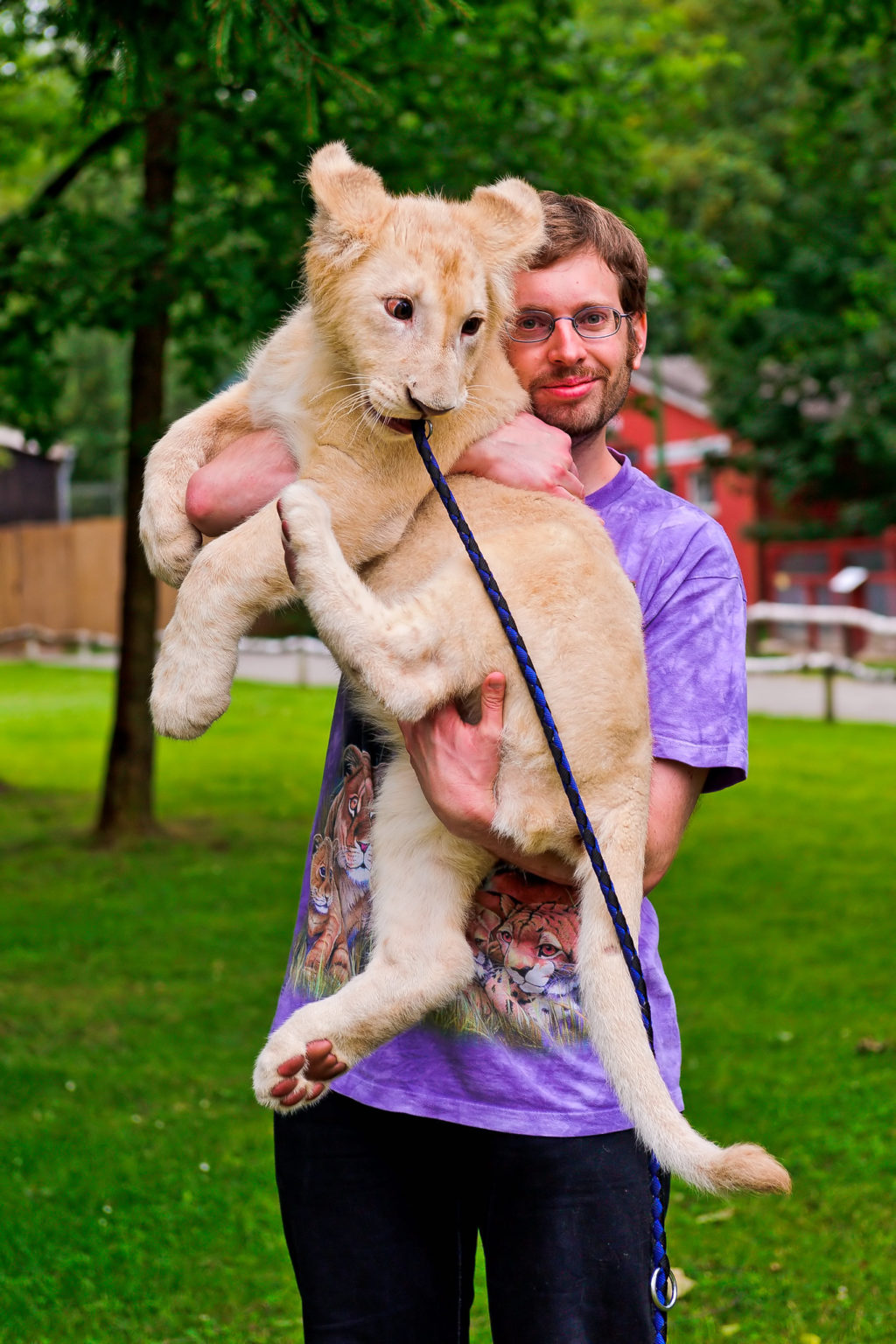 Sharing Video or Images of Humans Interacting with Wildlife Harms Animals