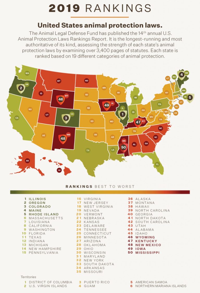 State Animal Protection Laws Ranked: Illinois is #1, Mississippi #50