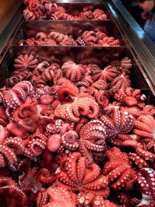 Octopus Farming: Another Step Towards an Environmental Catastrophe